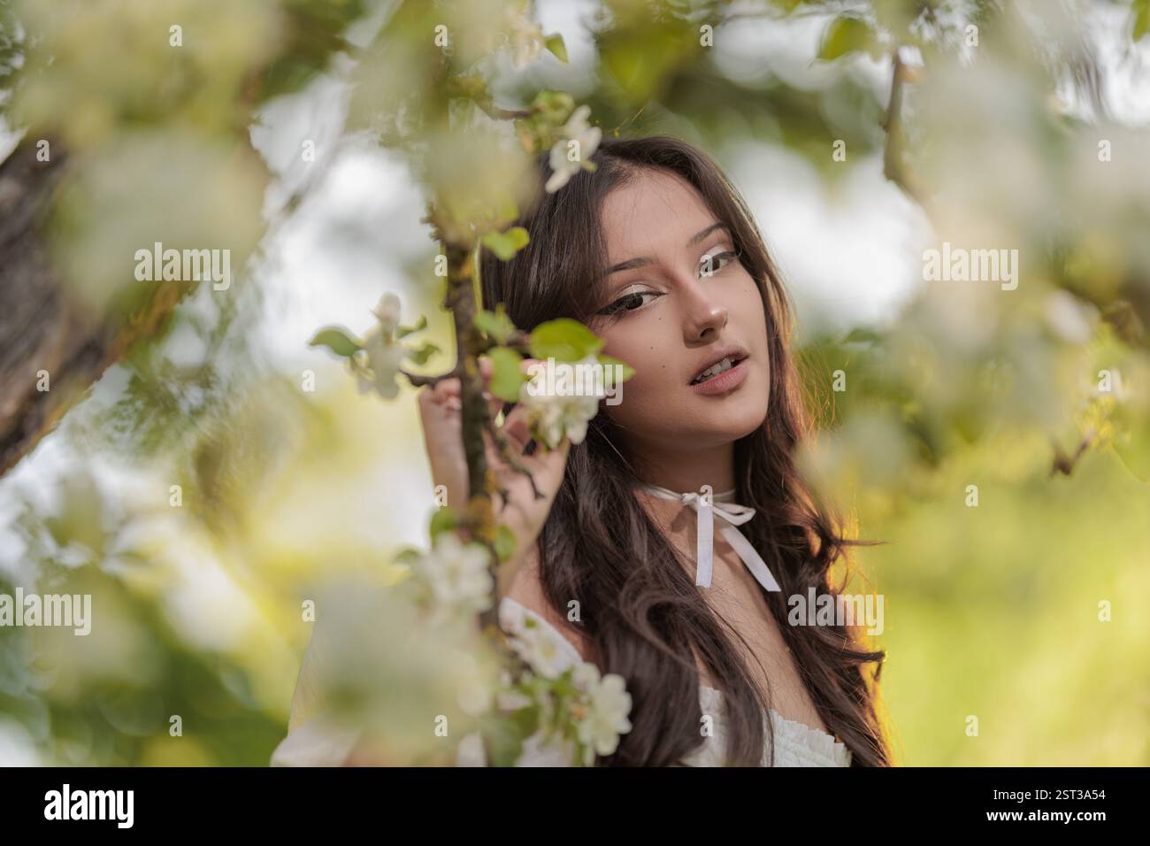 Beautiful Girl with long hair poses near white blossoming apple trees ...