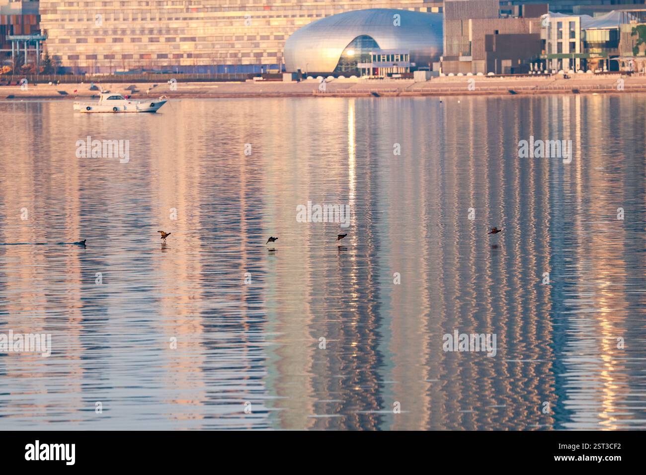 QINGDAO, CHINA - FEBRUARY 17, 2025 - Buildings and scenery are ...