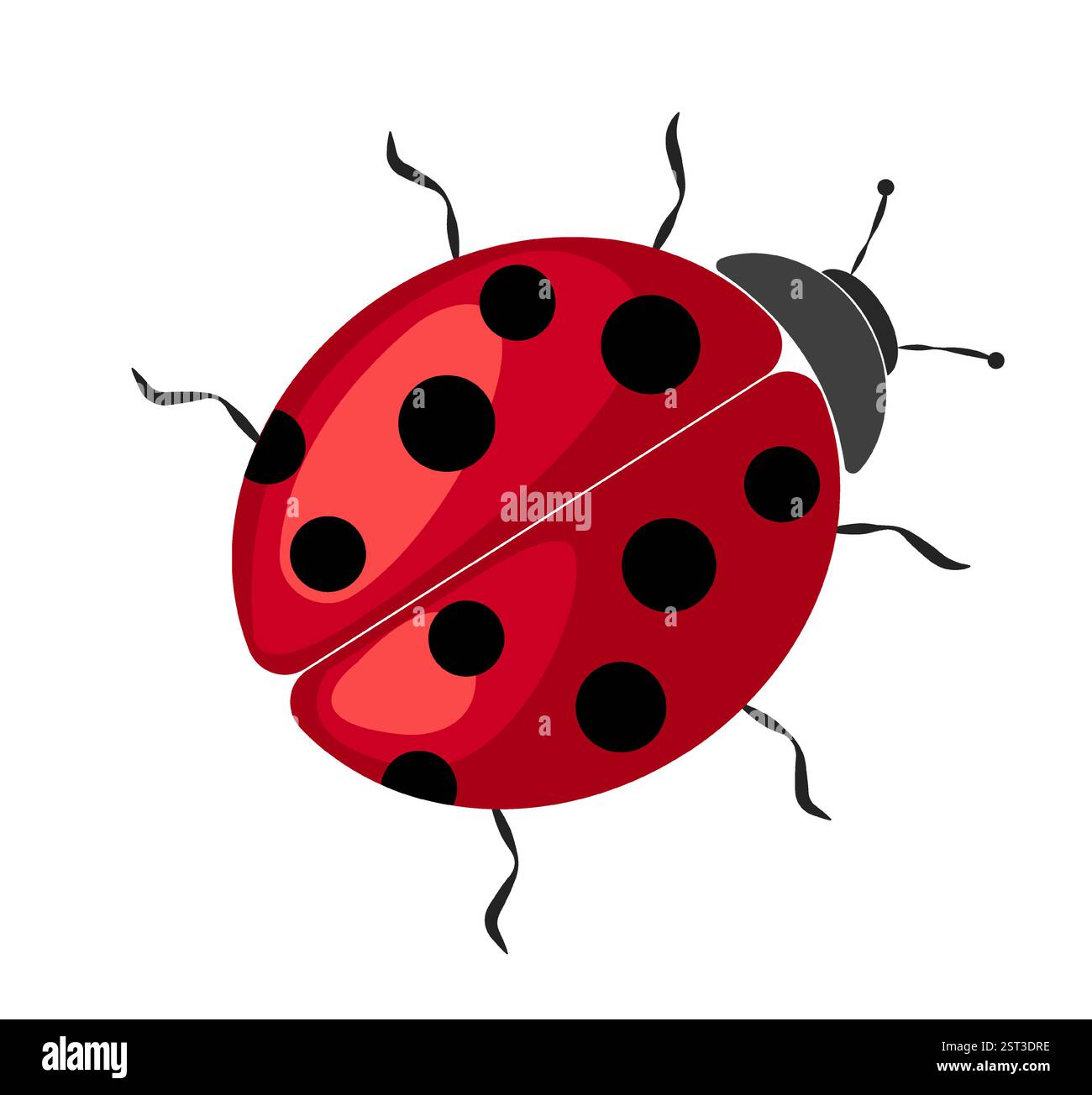 Cute and colorful ladybug illustration with detailed black spots and ...