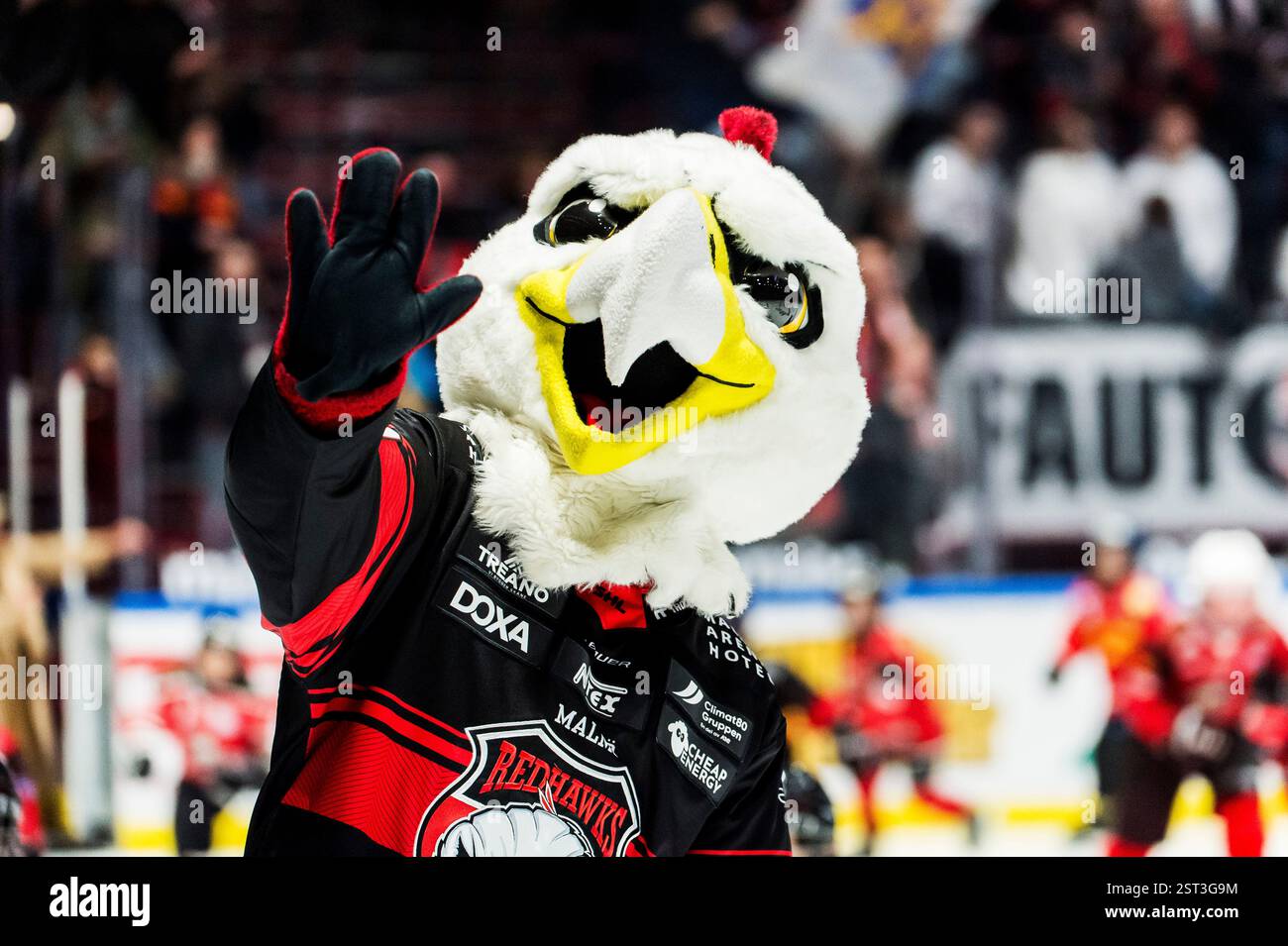 250215 Hawkan under Hockeyns dag under ishockeymatchen i SHL mellan ...