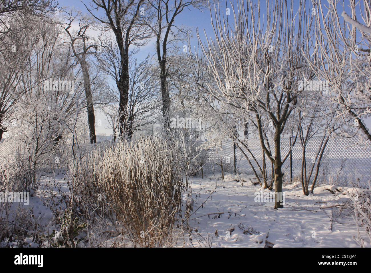 Beautiful garden in winter snowy hi-res stock photography and images ...