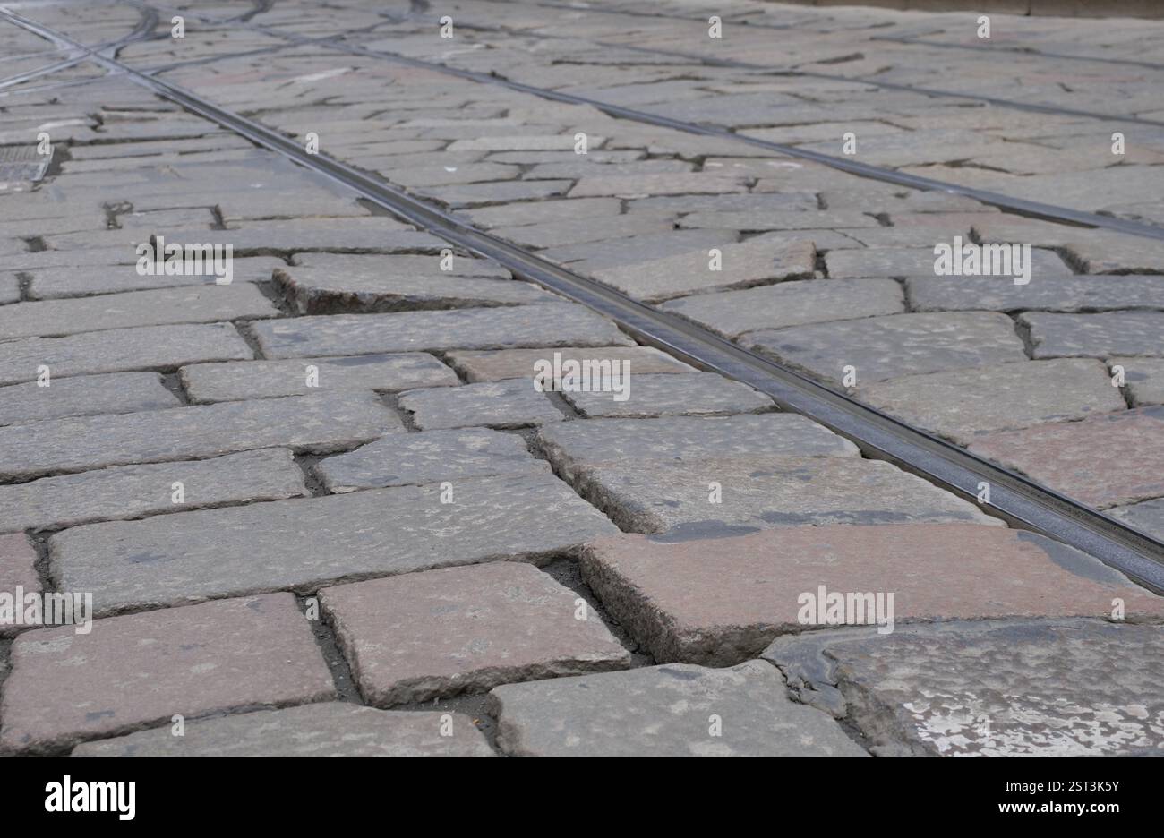 Milan, . 17th Feb, 2025. The poor maintenance of the Pavè in the city ...