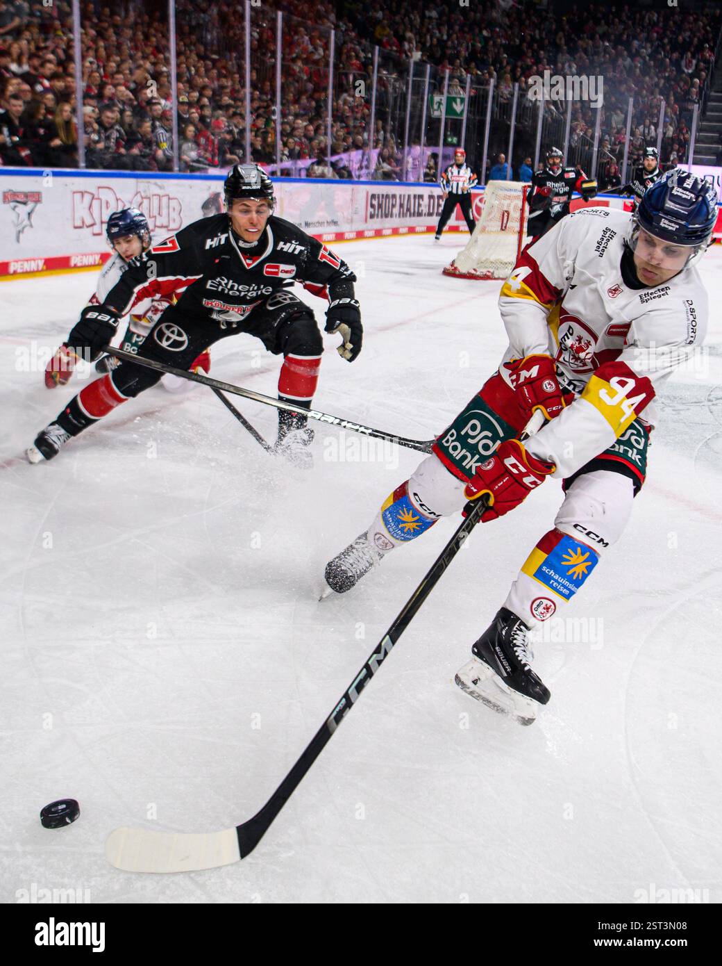 COLOGNE, GERMANY - 16 FEBRUARY, 2025: Tyler Angle, Hockey match of ...