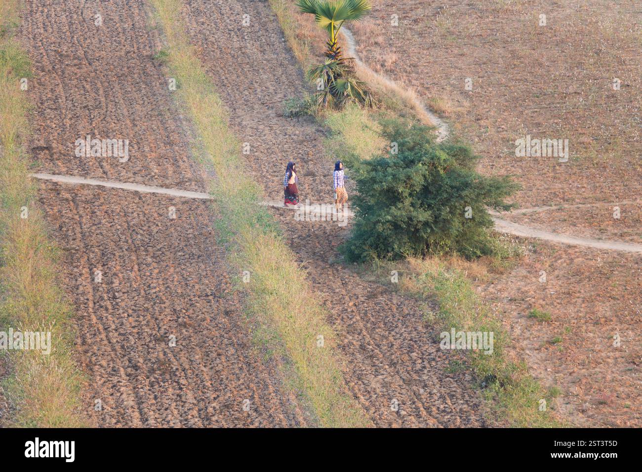 Myanmar, Bagan, rural scene as seen from hot air balloon over Bagan ...