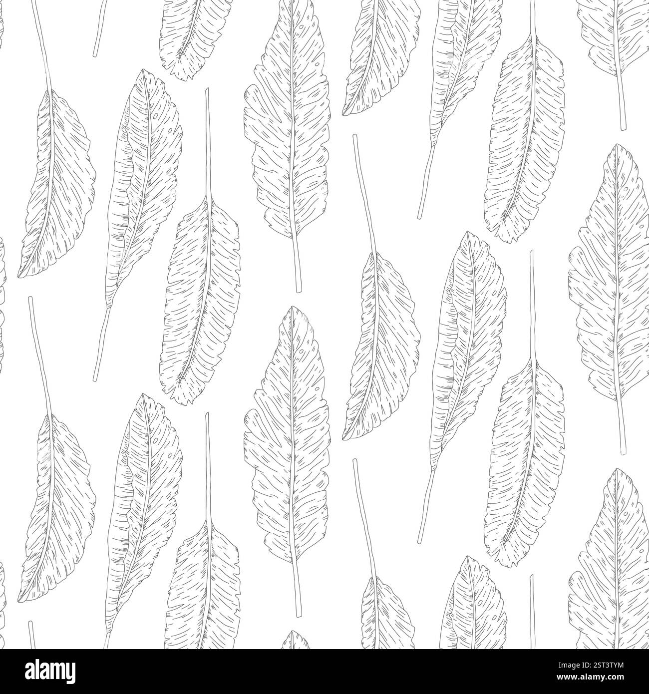 Tropical banana leaves monochrome seamless pattern. Jungle foliage ...