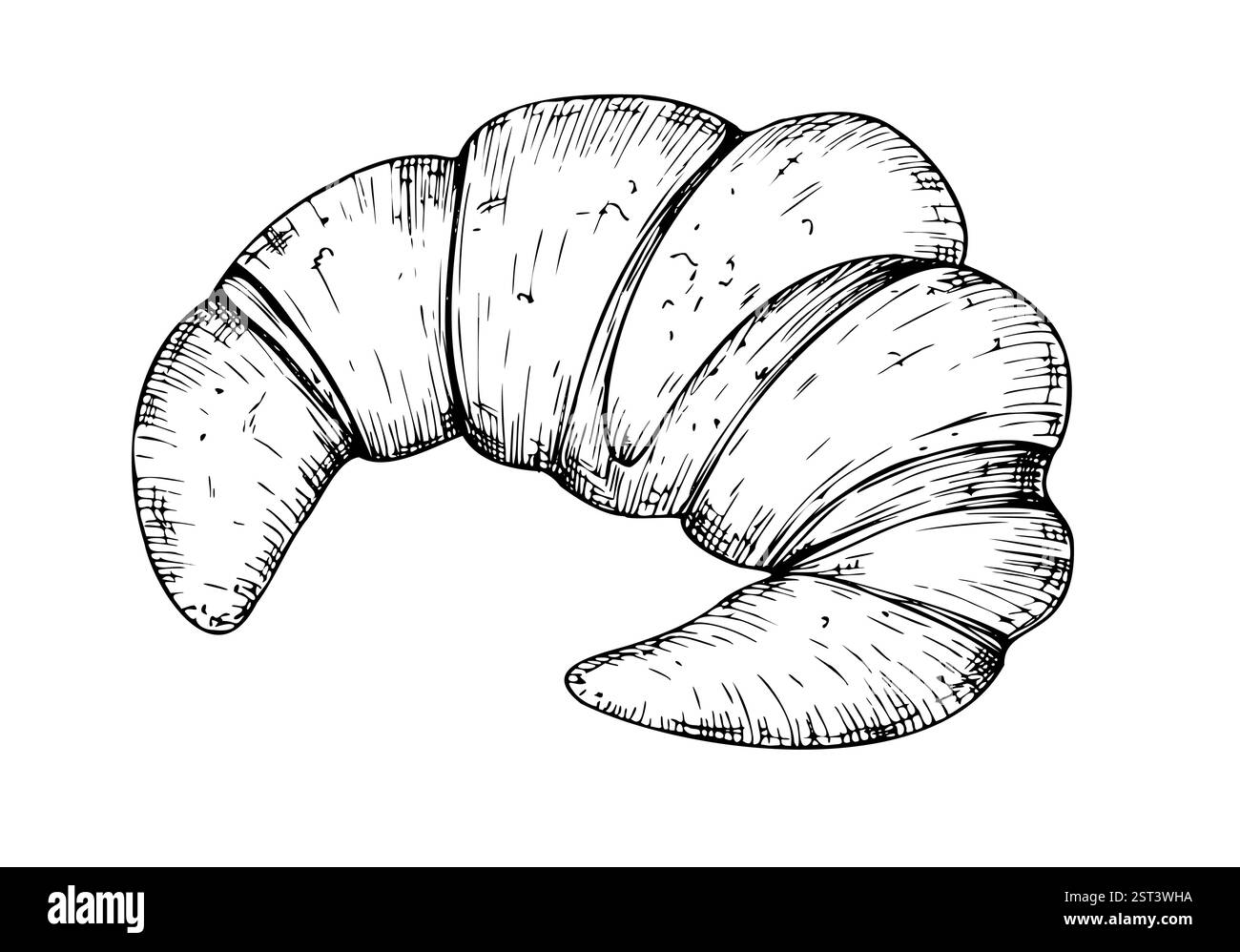 Vector freshly baked croissant. Graphic ink French pastry illustration ...