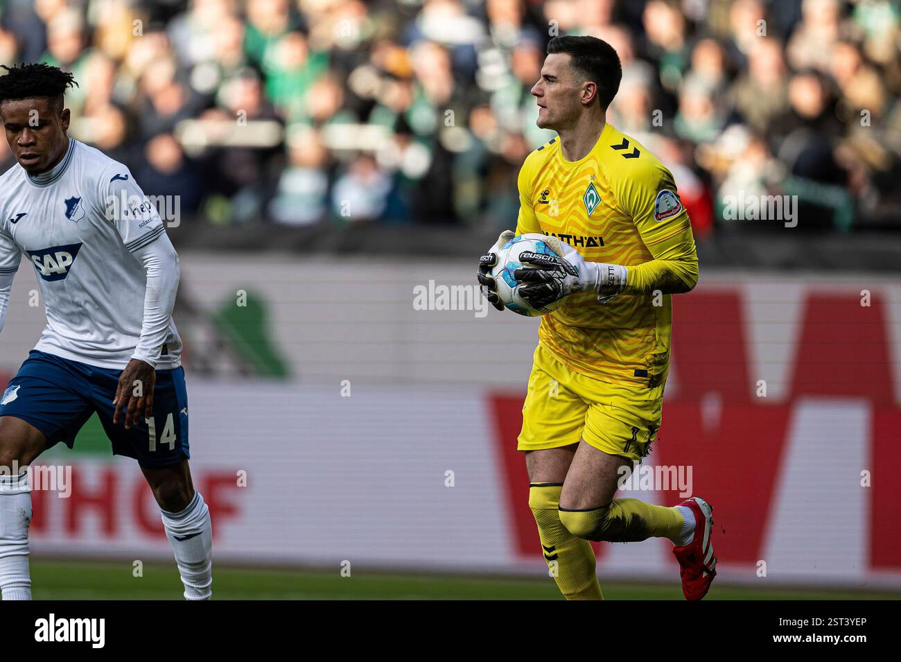 16.02.2025, Weserstadion, Bremen, GER, 1. FBL, SV Werder Bremen vs TSG ...