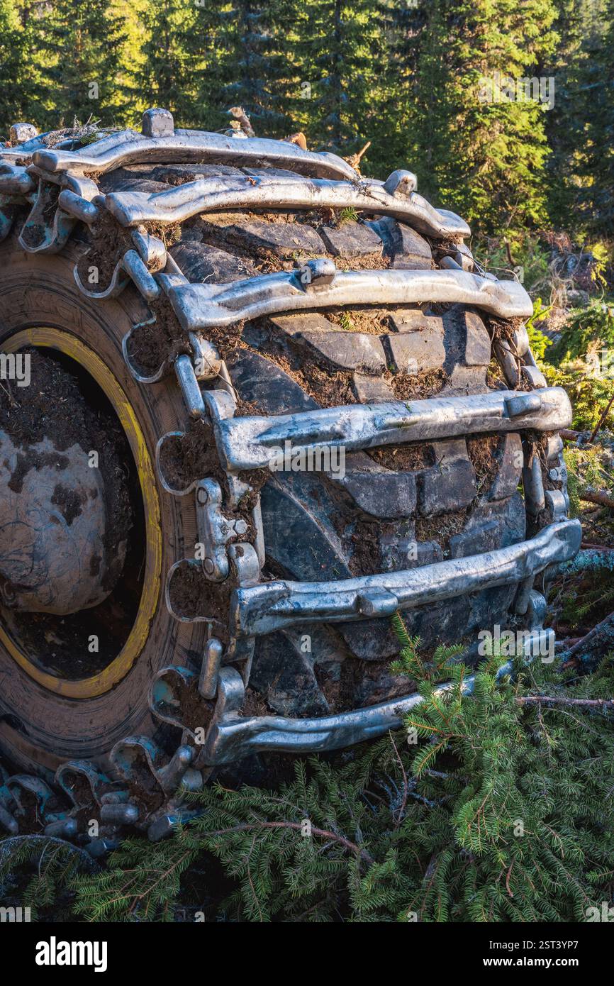 wheel of a logging machine Stock Photo - Alamy