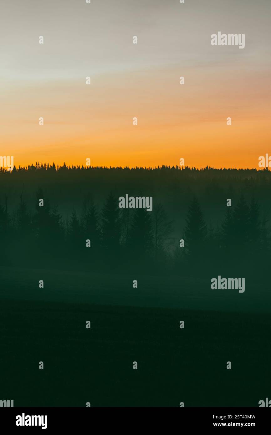 Evening mist from Lake Mjøsa in the edge zone of the cultural landscape ...