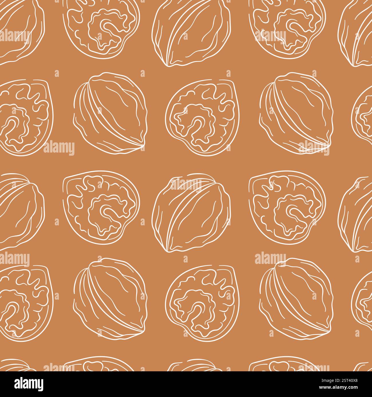 Walnut line art style seamless pattern on brown background. Hand drawn ...