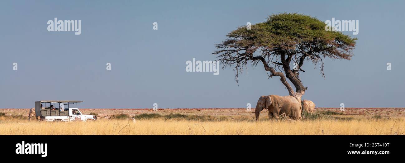 Driving in car looking panorama hi-res stock photography and images - Alamy