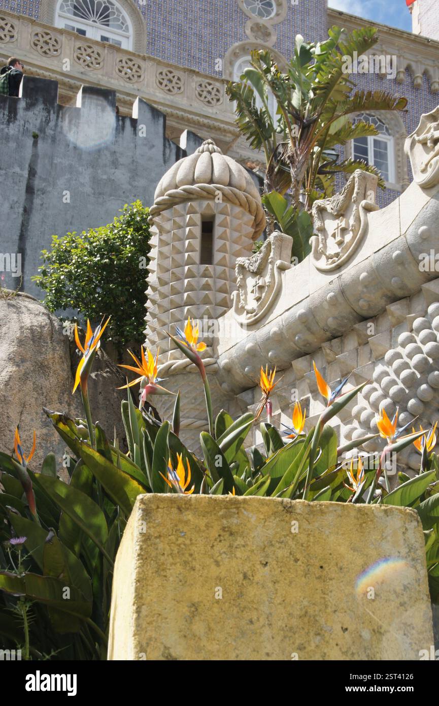 Concrete wall, vibrant bird of paradise flowers, ornate palace with ...