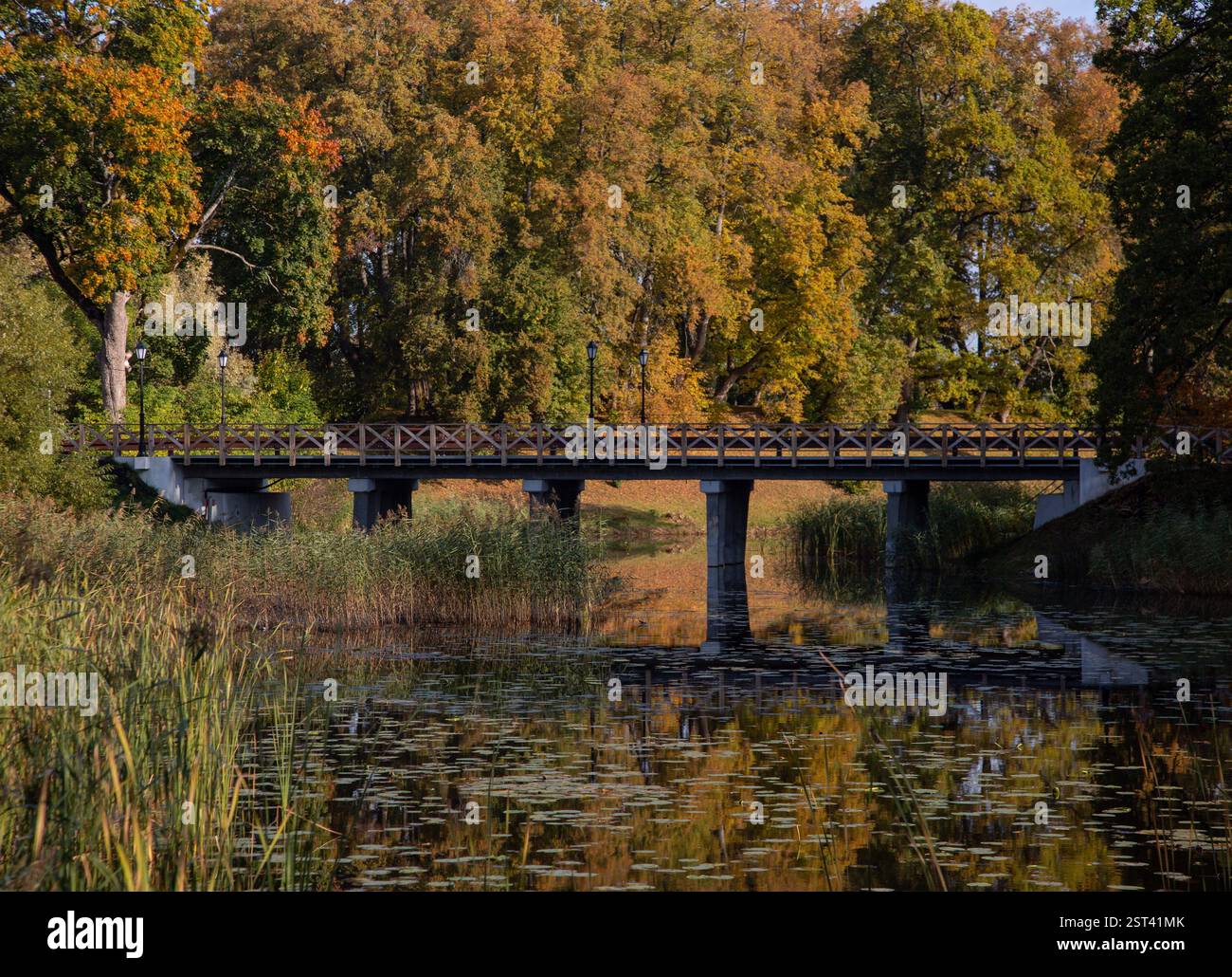 Cinematic autumn hi-res stock photography and images - Alamy
