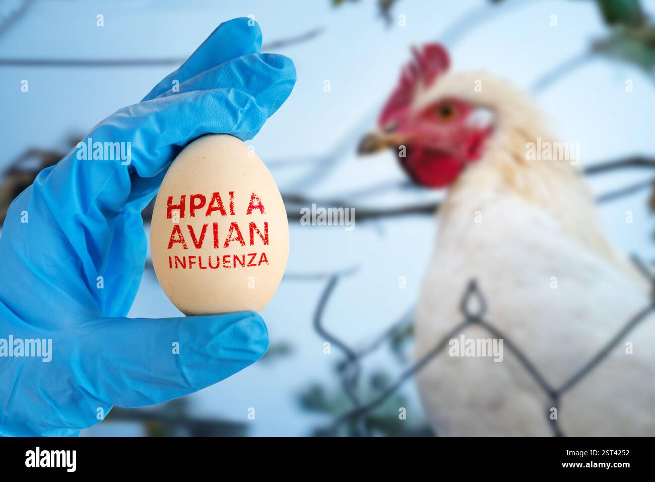 hpai avian influenza. The concept of an avian flu pandemic. Checking ...
