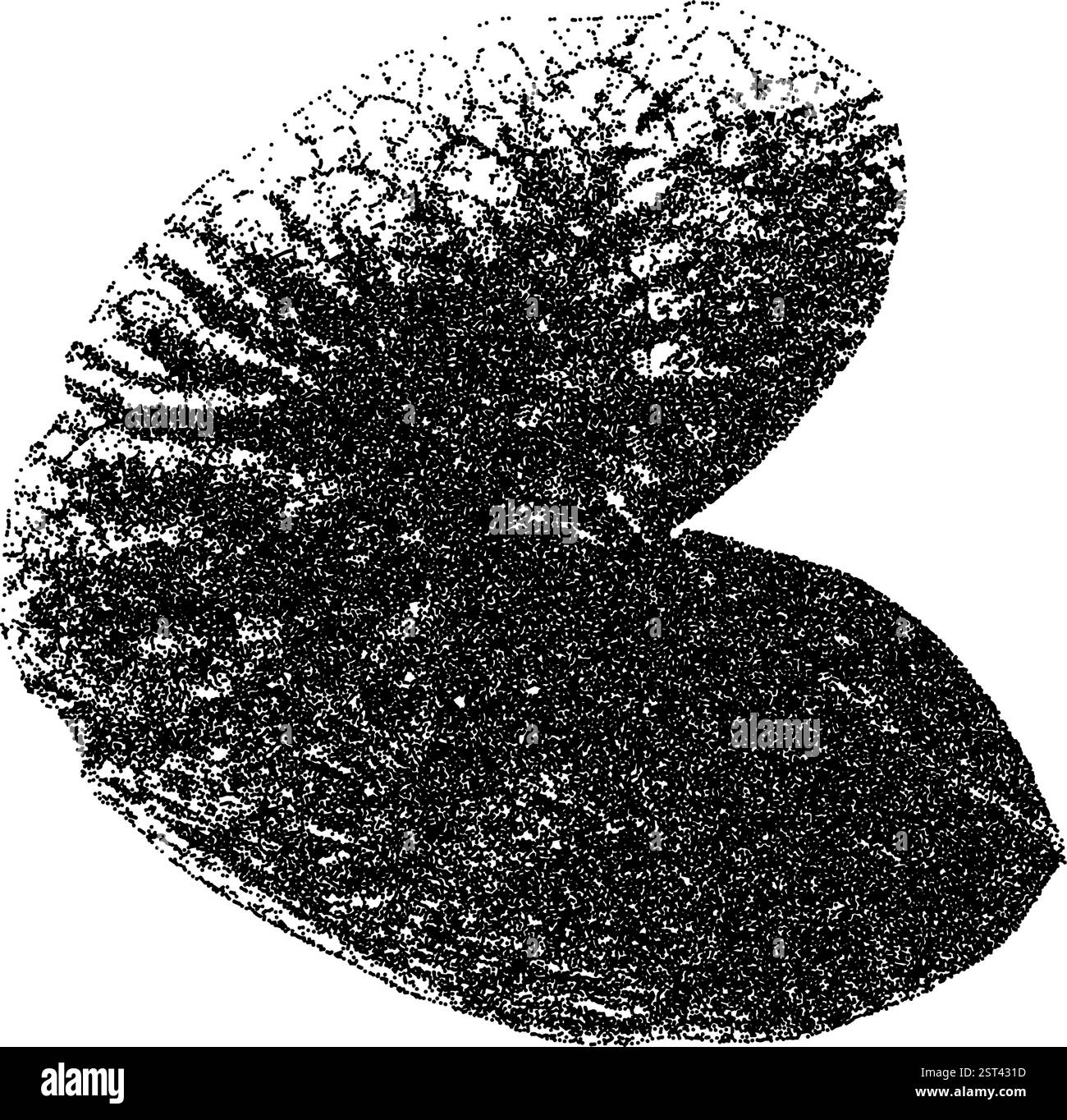 Leaf photocopy element. Collage botanical shape. Vector stippled nature ...