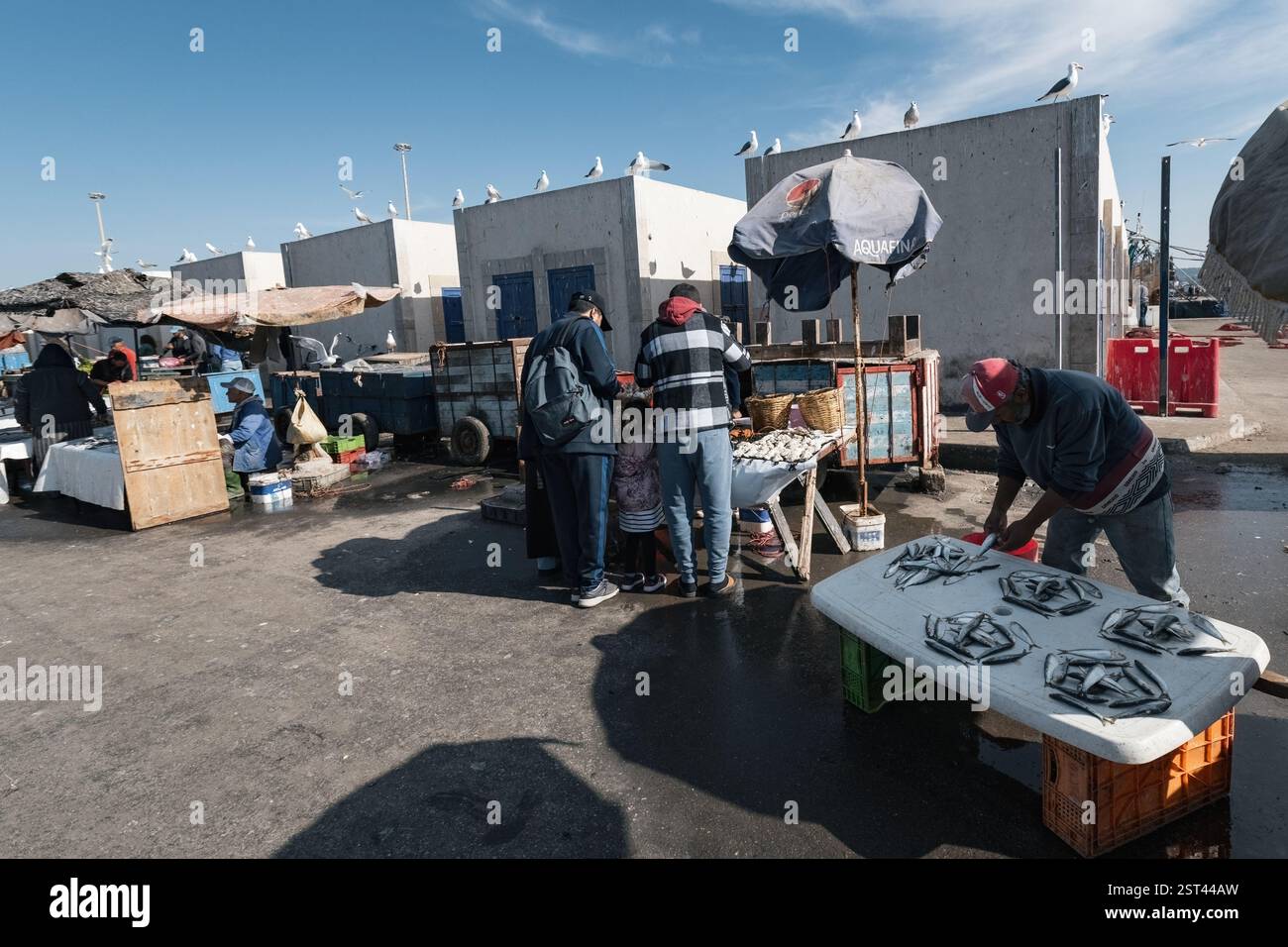 Old Port fish market in ESSOAUIRA, Morocco Stock Photo - Alamy