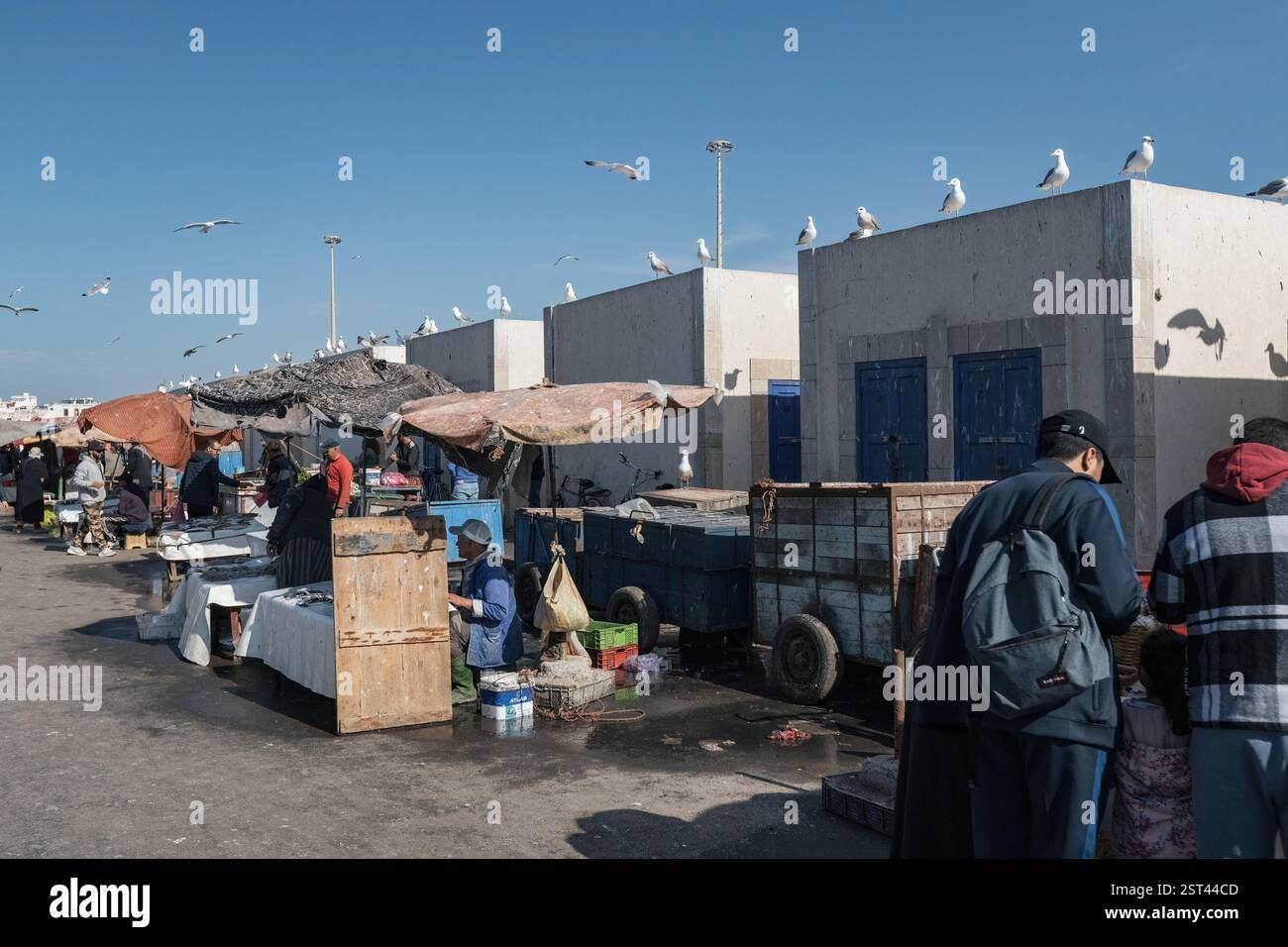 Old Port fish market in ESSOAUIRA, Morocco Stock Photo - Alamy
