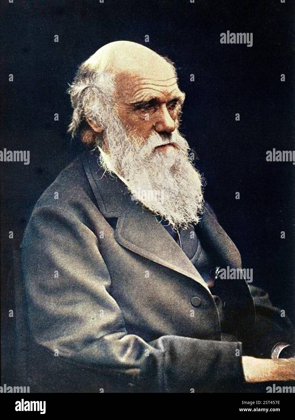 Portrait of Charles Darwin (1809 - 1882) 1881 - Later coloring Stock ...
