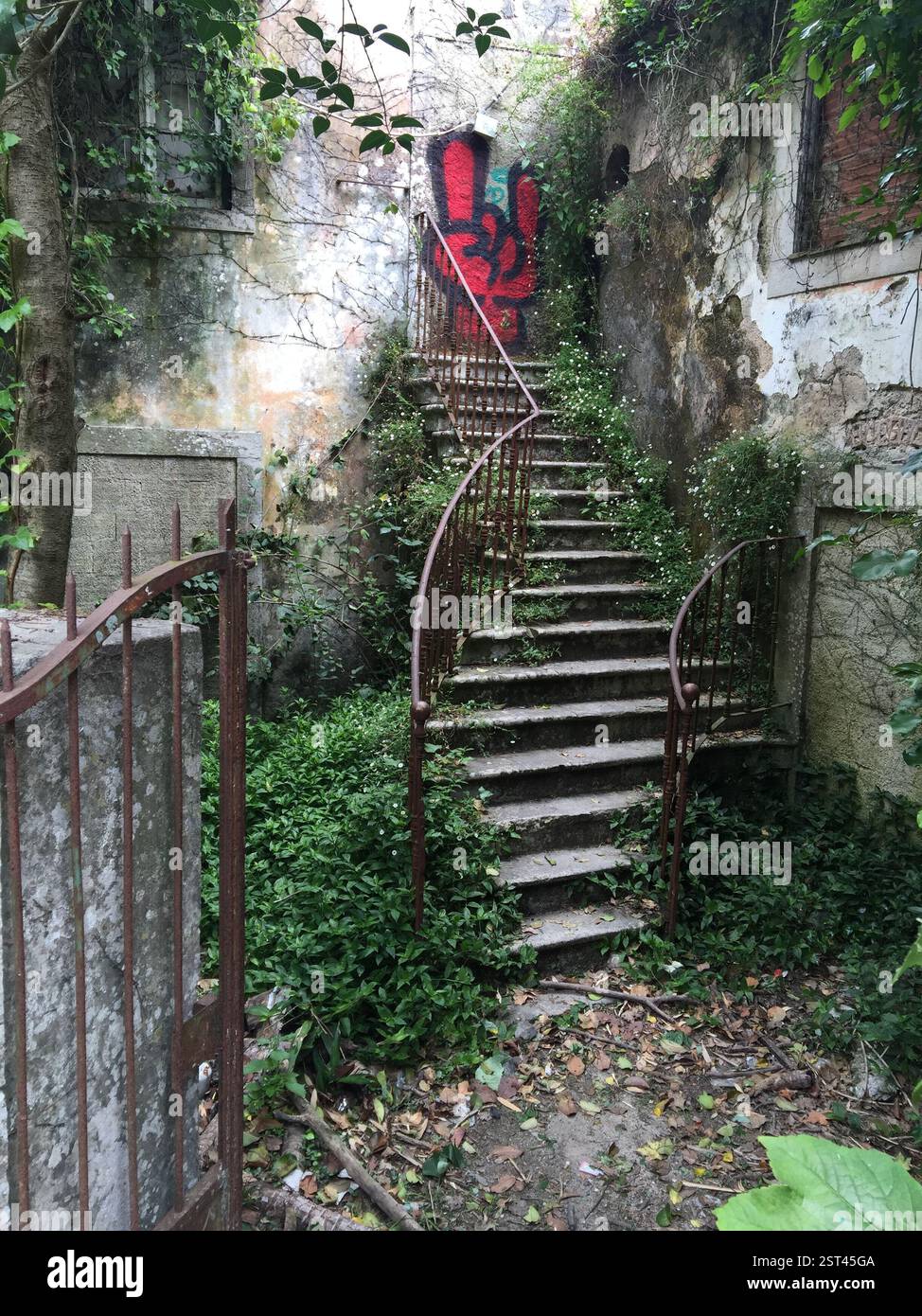 Overgrown staircase with rusted railings winds through lush greenery ...