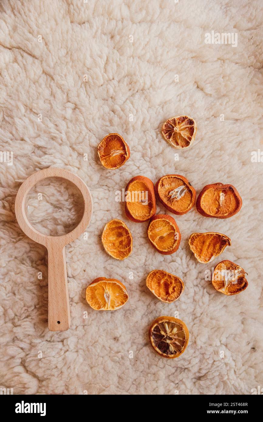 Dried oranges on a wool blanket with microscope Stock Photo - Alamy