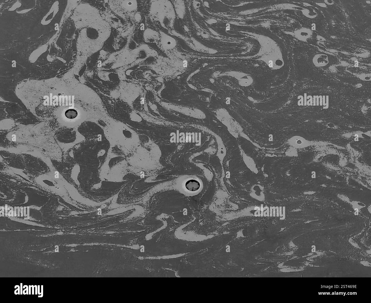 Muddy Reflections: Eyes in the Wet Streets Stock Photo - Alamy