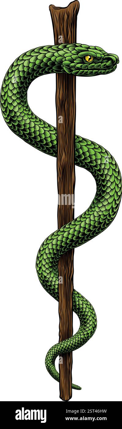 Rod of Asclepius Caduceus Medical Doctor Symbol Stock Vector Image ...