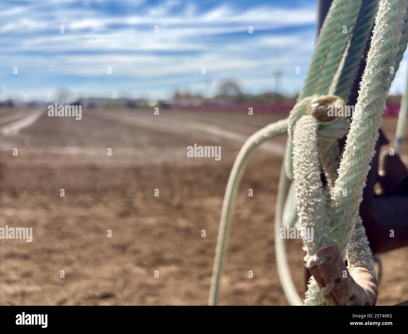 Rodeo lasso close up hi-res stock photography and images - Alamy