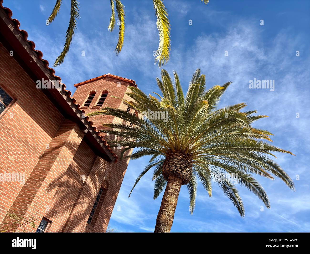 Brick church tower with a palm tree under a blue sky with wispy clouds ...