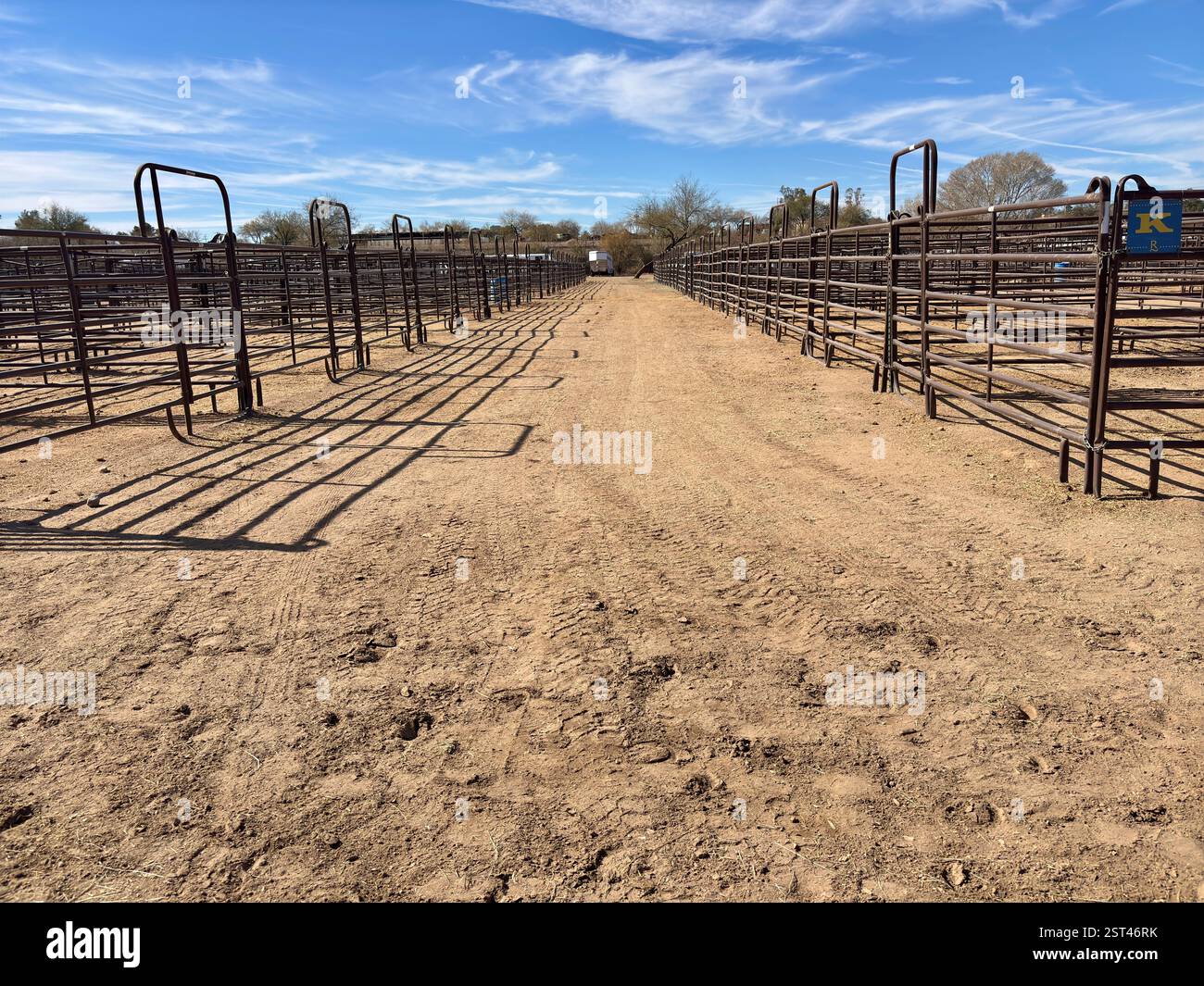 Livestock pens hi-res stock photography and images - Alamy