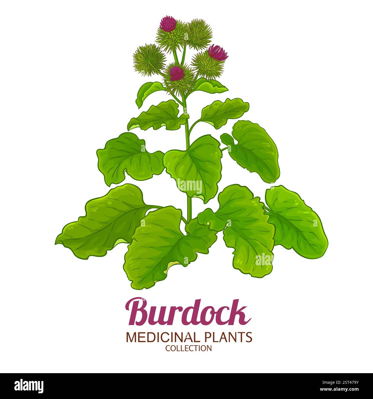 Spines cutout Stock Vector Images - Alamy