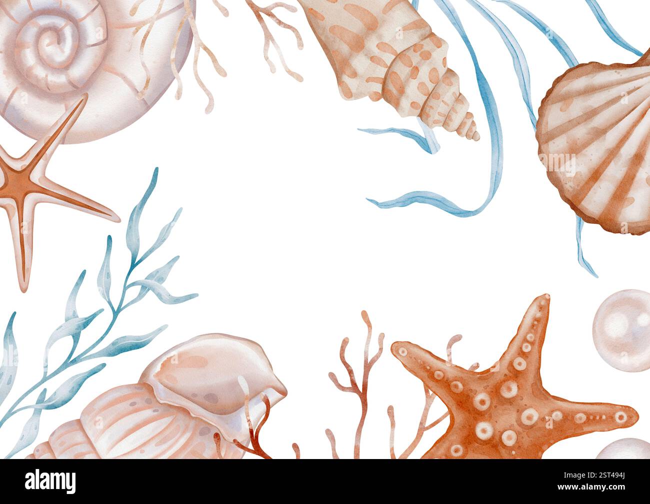 Underwater Rectangular frame with Corals, Seaweeds and Seashells. Hand ...