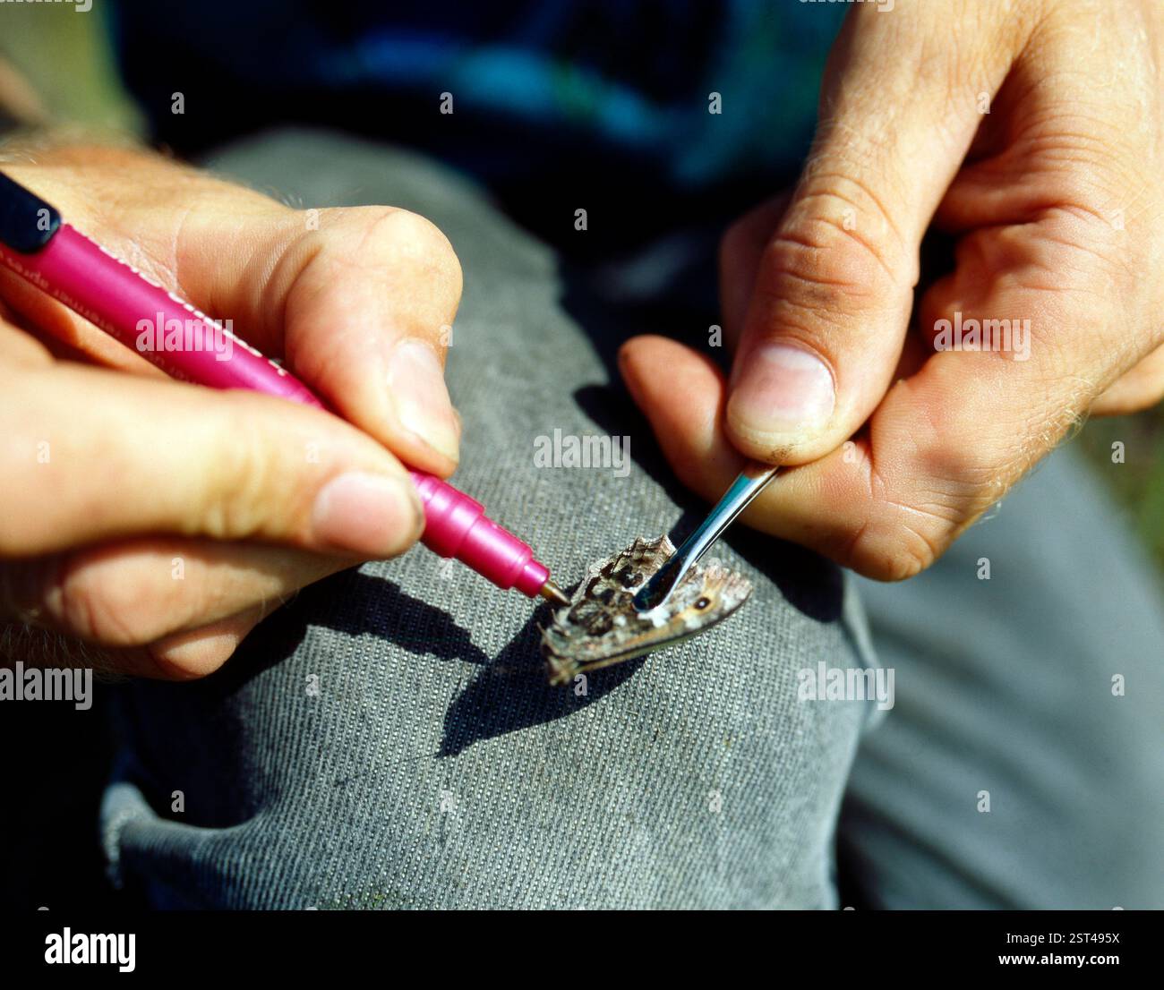 Ruecklaeufig hi-res stock photography and images - Alamy