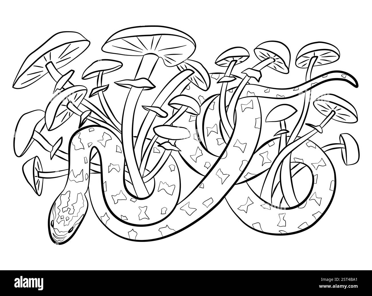 Anaconda snake with poisonous mushrooms line icon vector illustration ...