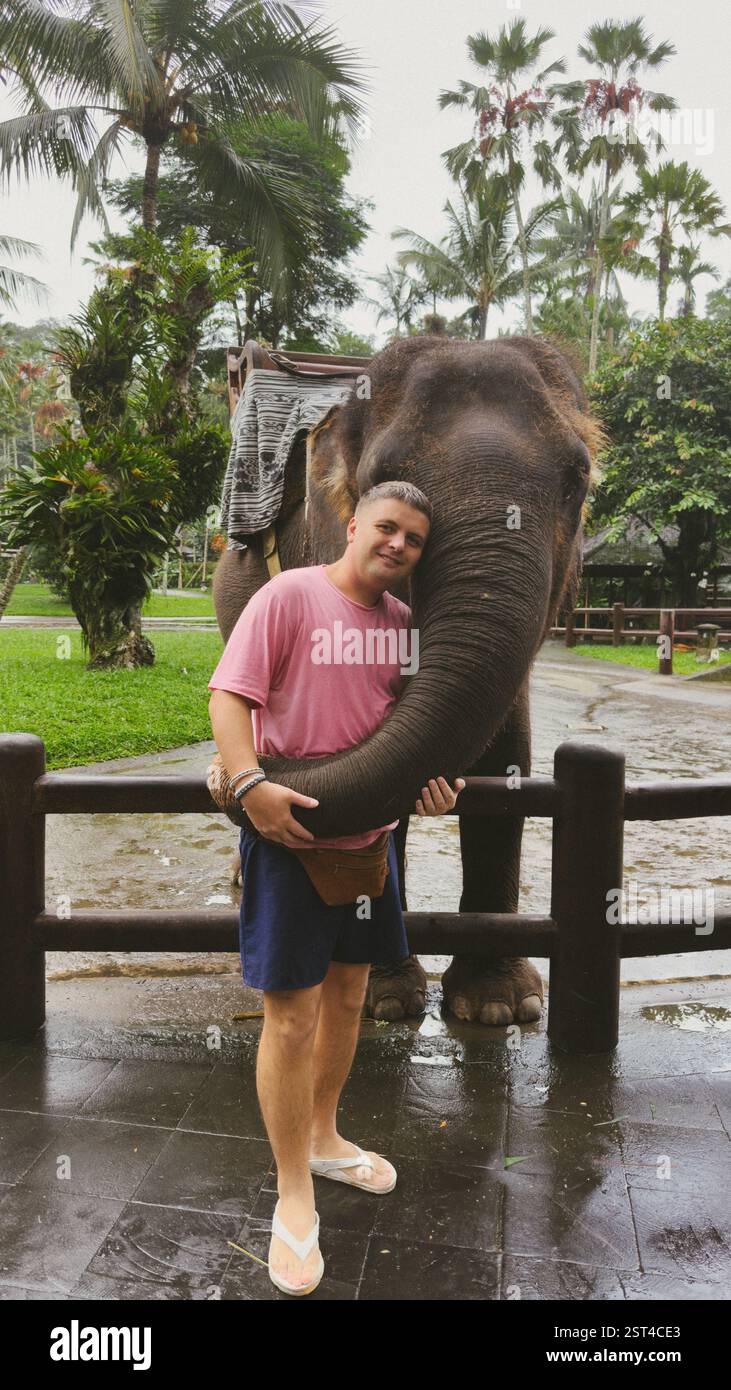 A man feeds elephants at an elephant sanctuary Stock Photo - Alamy