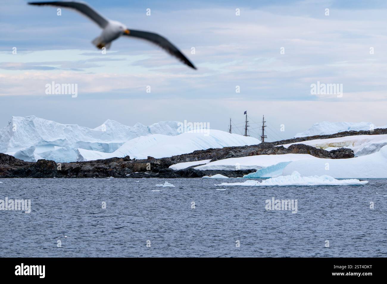 Ship in the Southern Ocean. Antarctica. Tourism and science Stock Photo ...