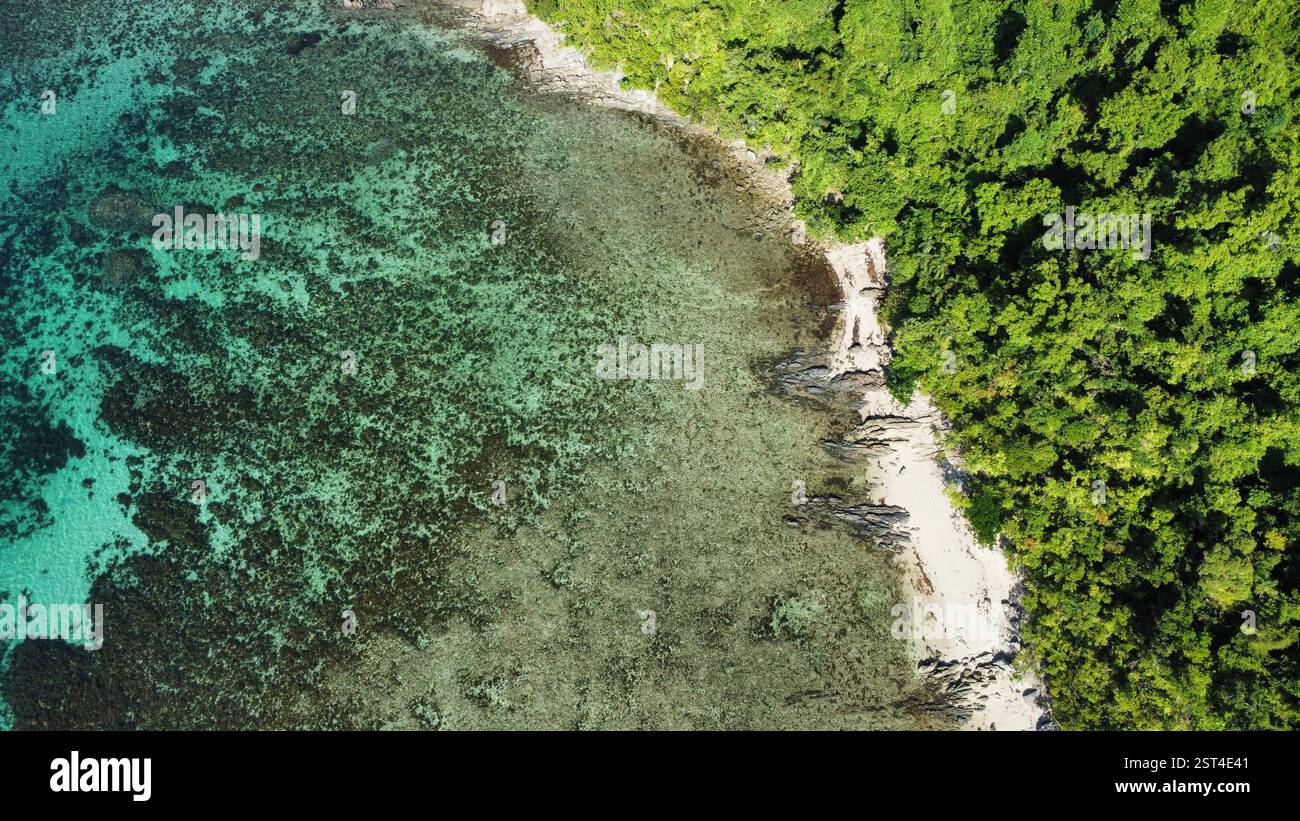 Aerial view of tropical island with turquoise waters and palm trees ...