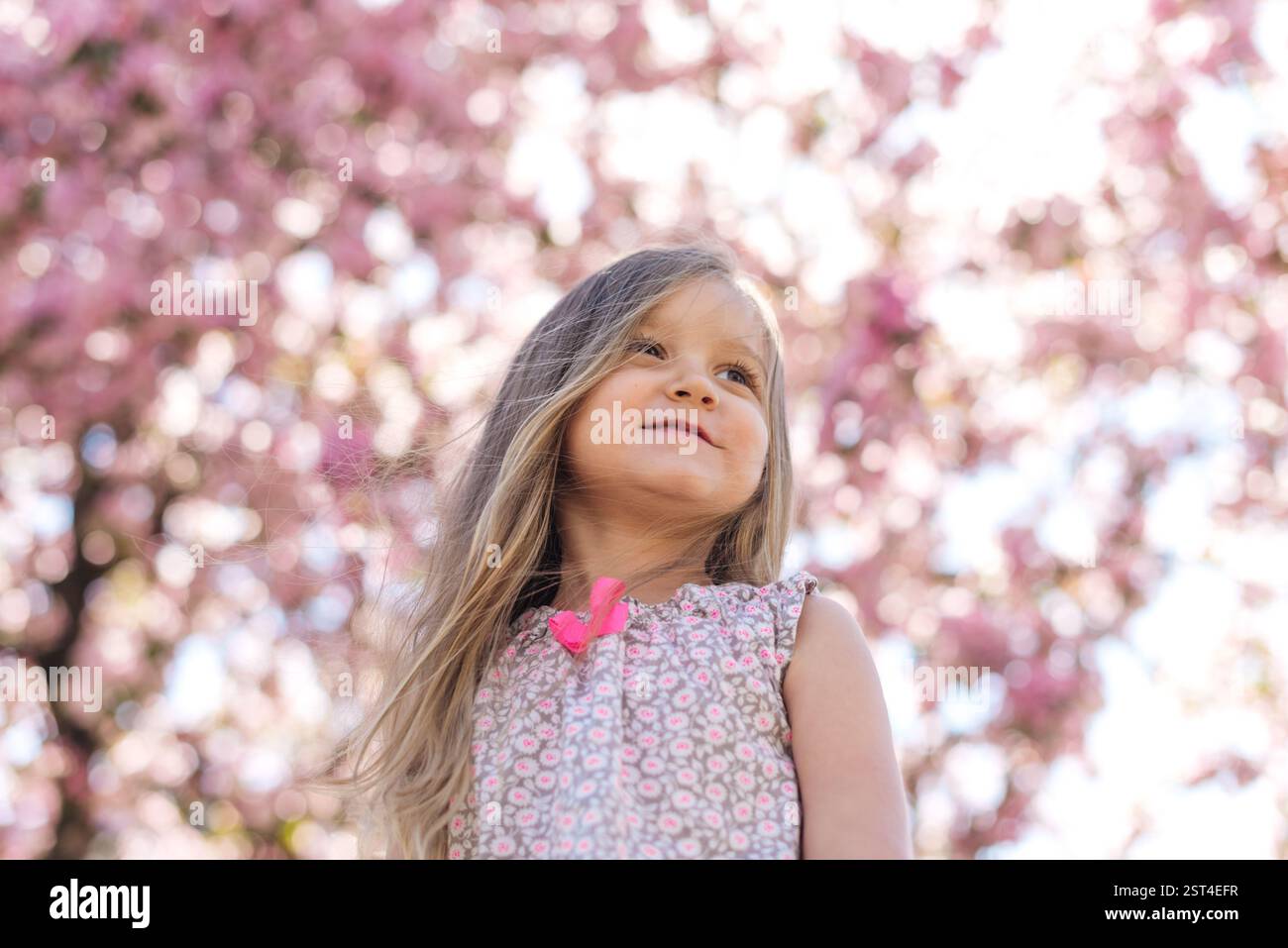 Cute little girl smiles in front of cherry blossom tree Stock Photo - Alamy