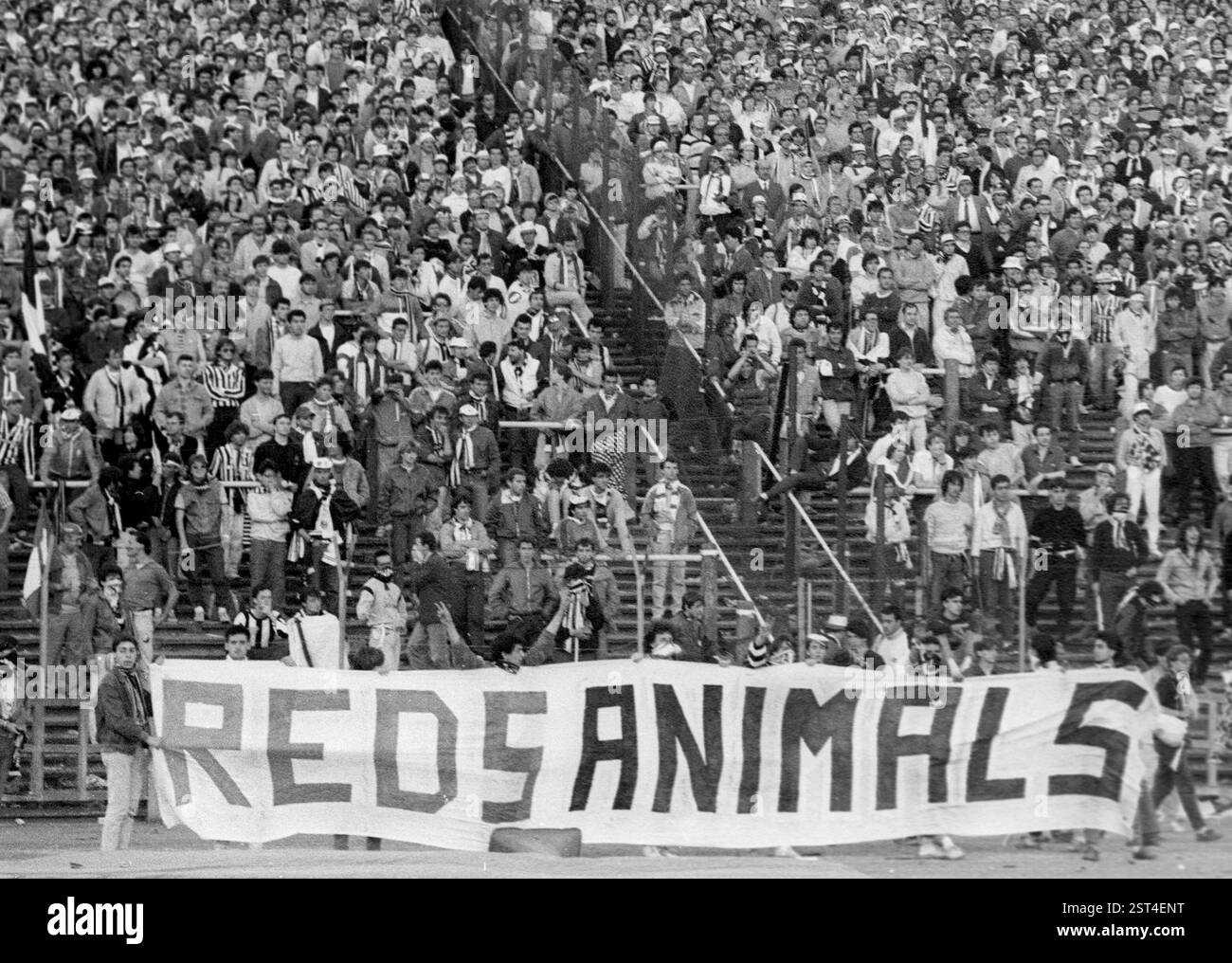 "Disaster with 39 dead on the occasion of the European Cup final ...