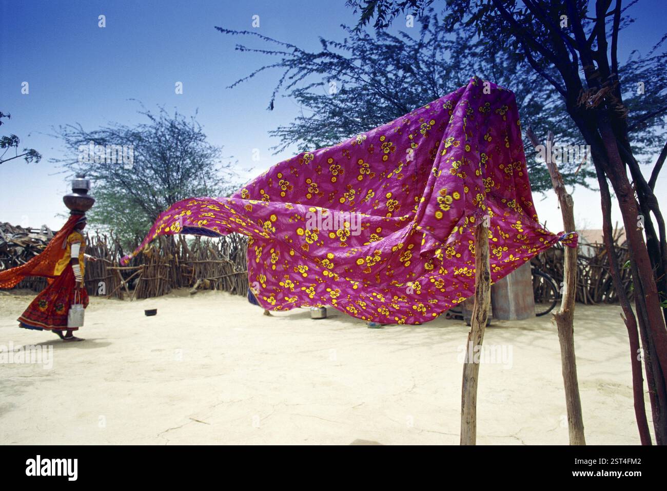 Gujarat village hi-res stock photography and images - Alamy