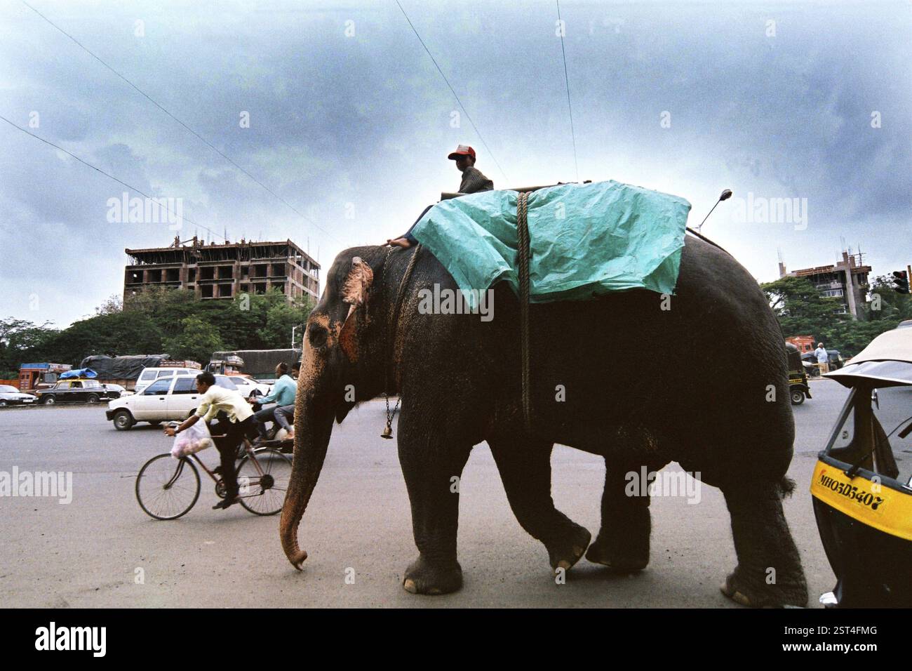 Elephant with its mahout walking on busy traffic road begging for alms ...