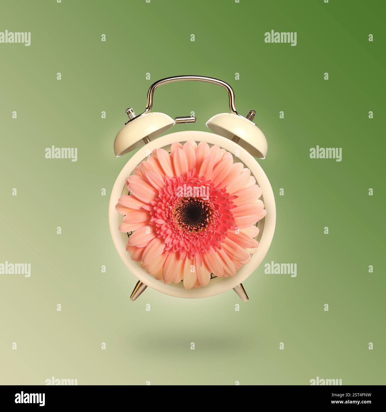 Spring time. Alarm clock with flower instead of dial on green gradient ...