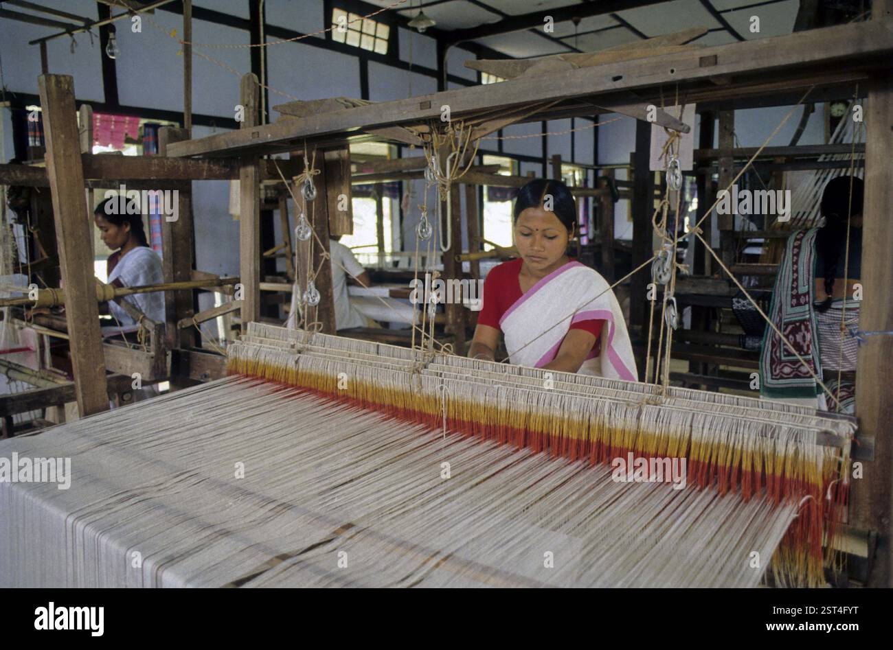 Paithani weaving hi-res stock photography and images - Alamy