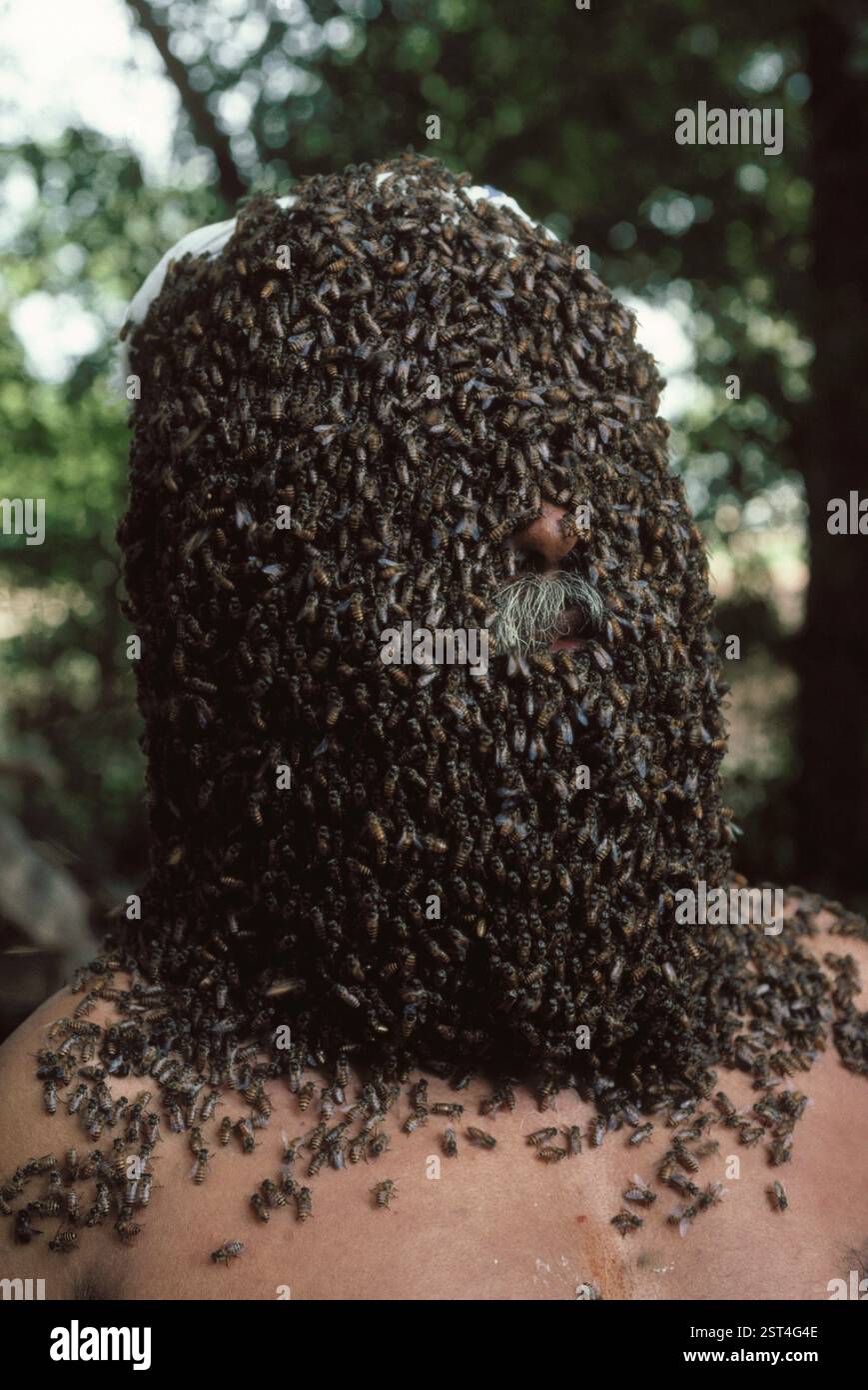 Insects on face hi-res stock photography and images - Alamy