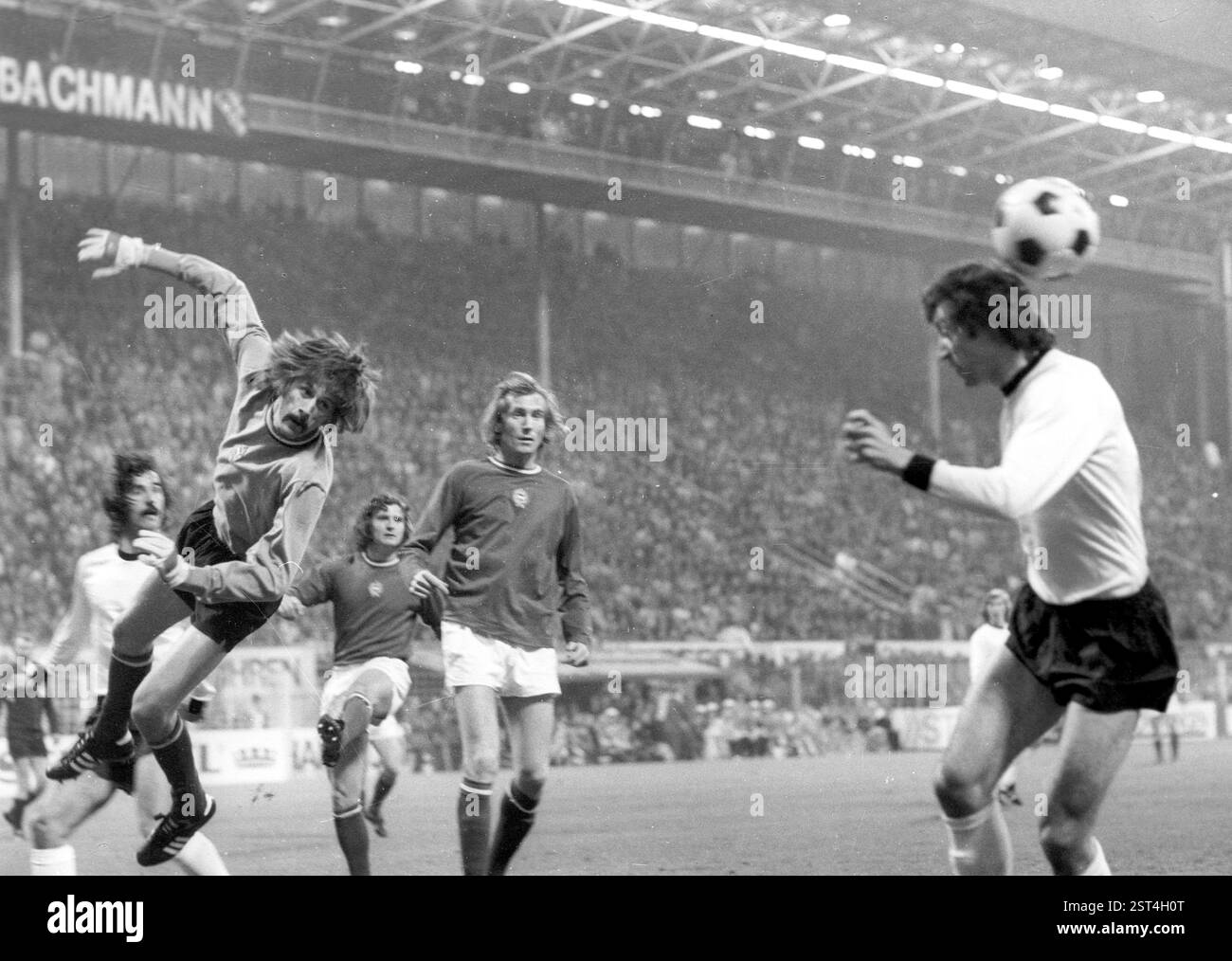 Tw meszaros hi-res stock photography and images - Alamy