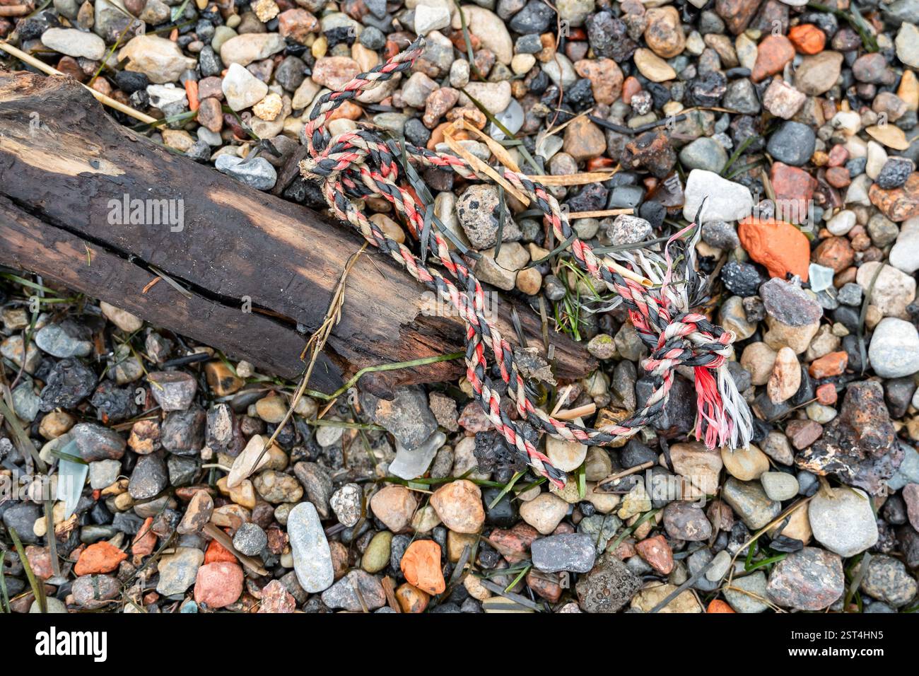 Discarded synthetic rope lies tangled on pebble beach, washed up from ...