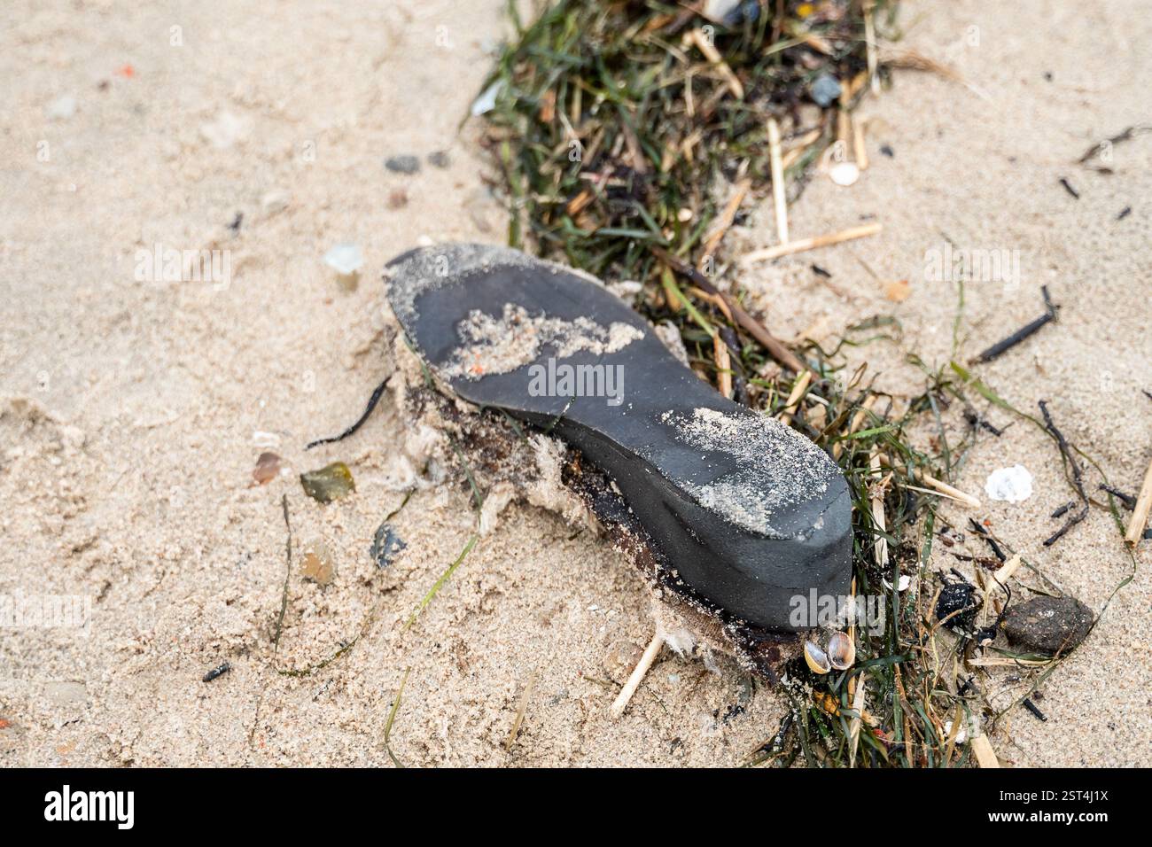 Worn shoe sole discarded by sea lies on sandy beach among seaweed ...