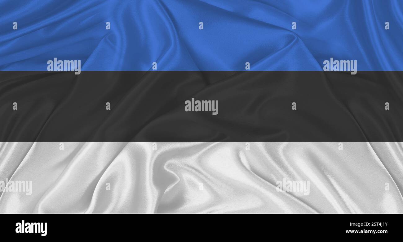 Estonian flag with fabric texture. Realistic flag of estonia waving ...