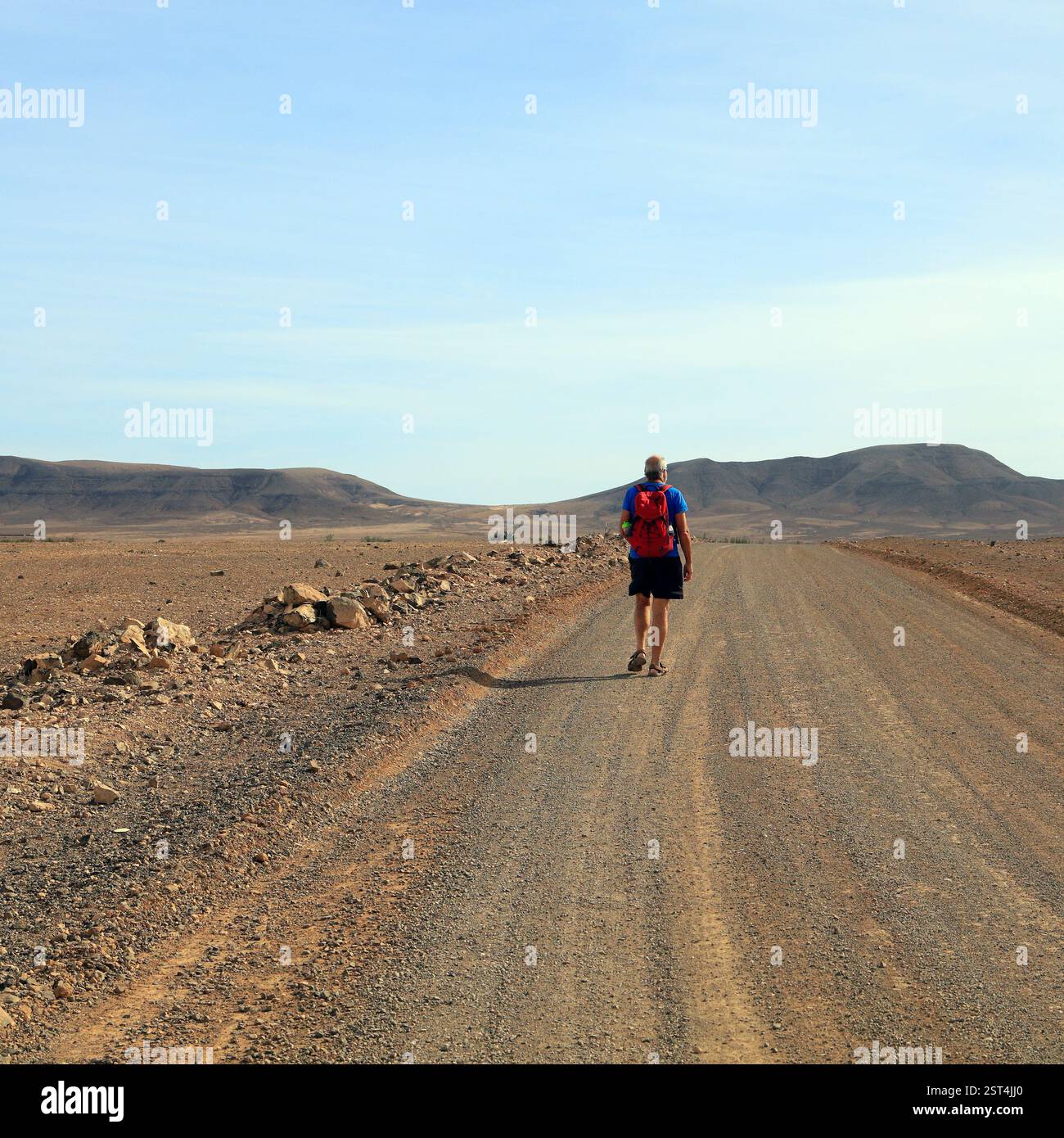 Adult male rambler walking towards distant hills, Fuerteventura, Canary ...
