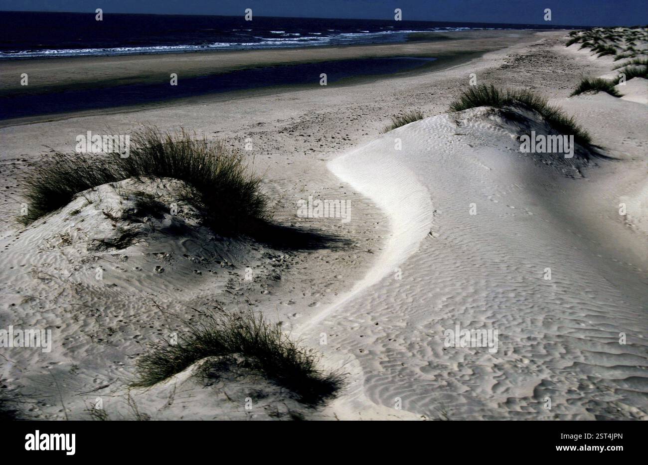 Sand Dunes at Ravalpir, Kutch, Gujarat, India, Asia Stock Photo - Alamy