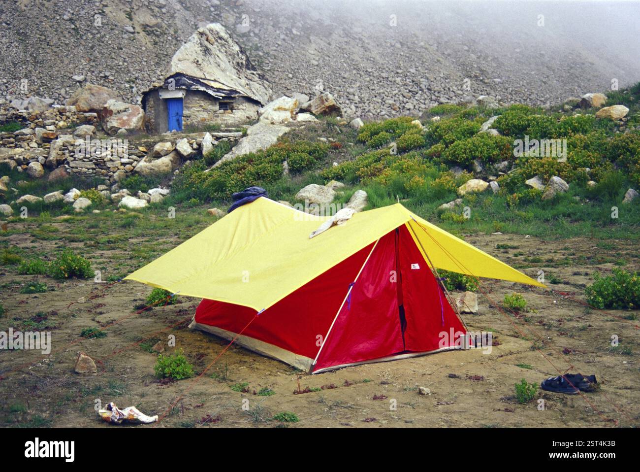 Tent at Tapovan, Uttaranchal, India, Asia Stock Photo - Alamy